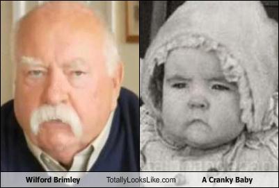Totally Looks Like - wilford brimley - Cheezburger