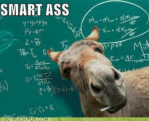 Puns - donkey - Funny Puns - Pun Pictures - Cheezburger