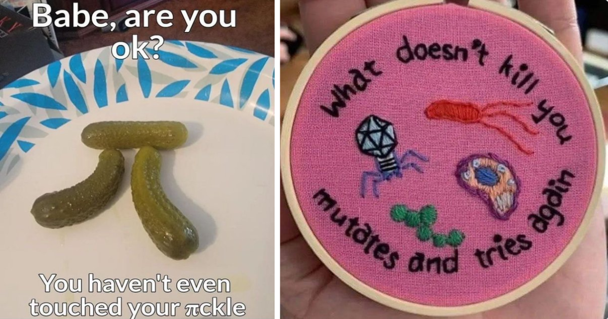 Lab, Laugh, Love: 33 Scientifically Approved Memes for Your Reaction ...