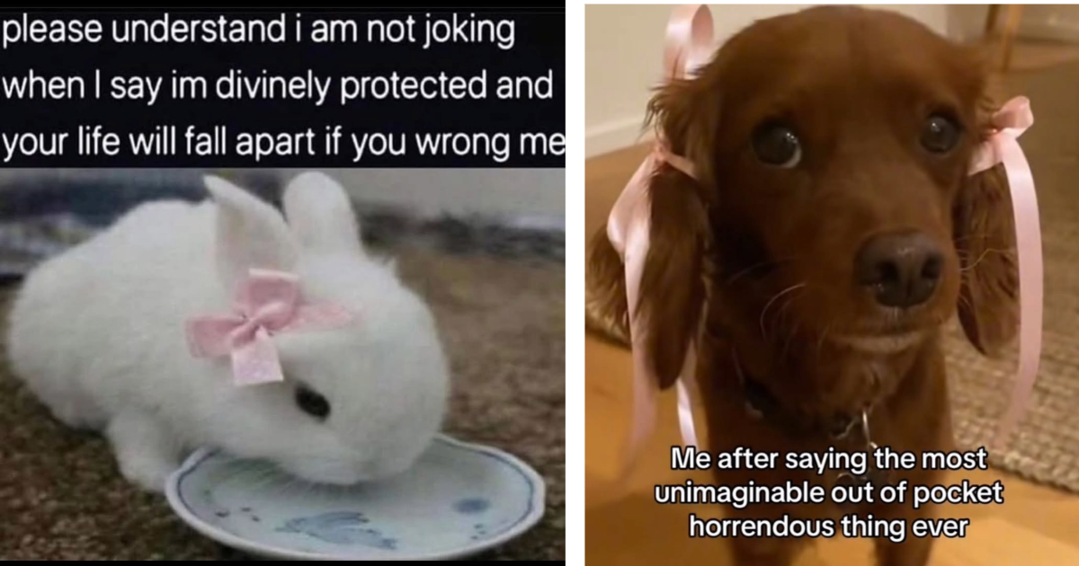 24 Motivating Animal Memes for Bold Girl Bosses Who Smash Glass ...