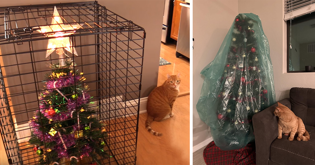 20 Hissterically Creative Ways People Cat-Proofed Their Christmas Trees ...
