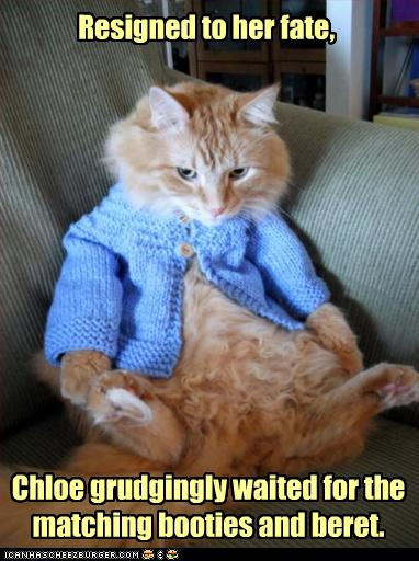 Resigned to her fate, - I Can Has Cheezburger?