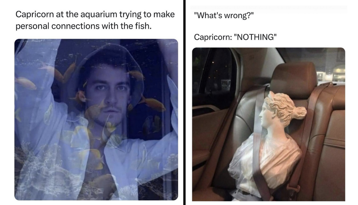 30 Candid Memes When You Can't Control Your Chill For Capricorn Season ...