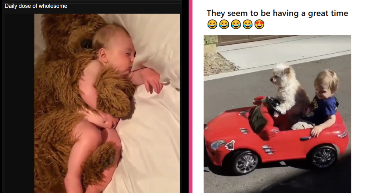 24 Animal Memes for Moms Whose Kids Have Paws-itively Adorable Bonds ...