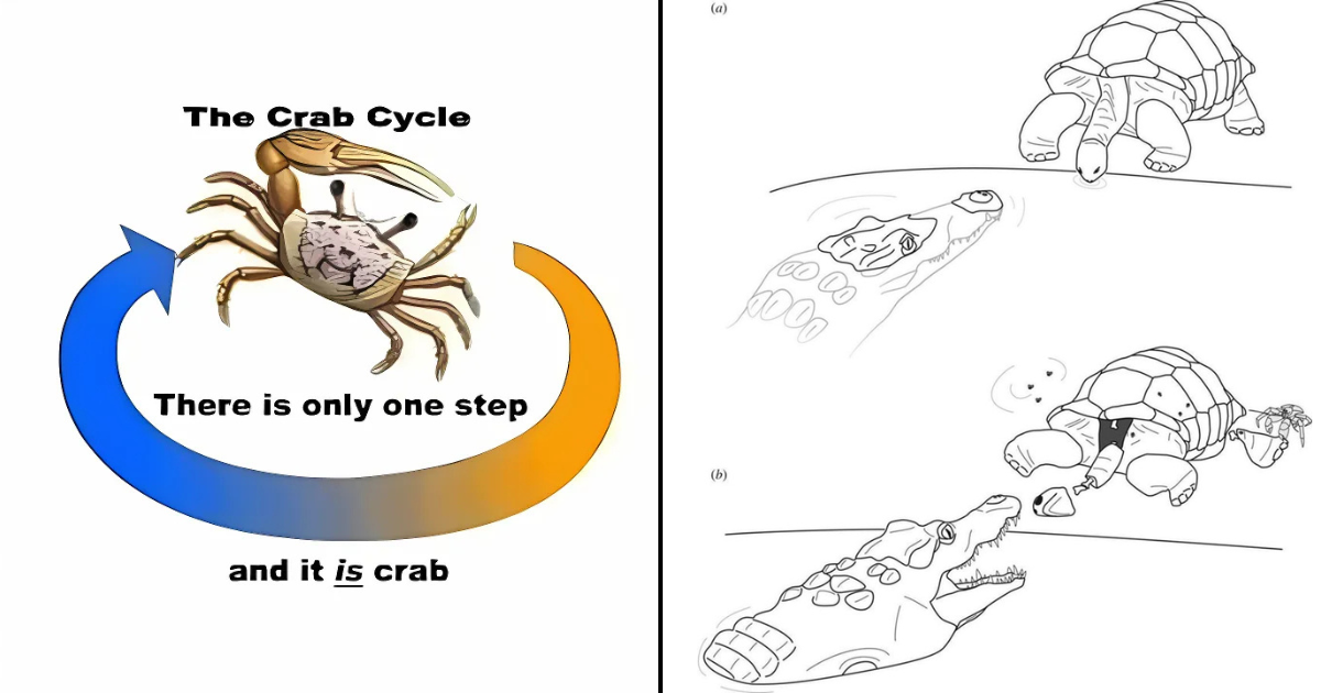 Out of Context Textbook Diagrams Might Be Our New Favorite Thing - Geek ...