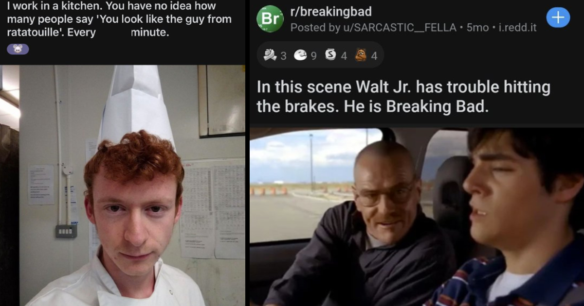 The Funniest Reddit Posts of the Week (December 13, 2024) - Memebase ...