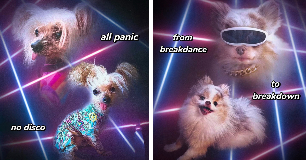 Pupper Party of 21 Peppy Dog Memes Partying Hard This Monday Like it's ...