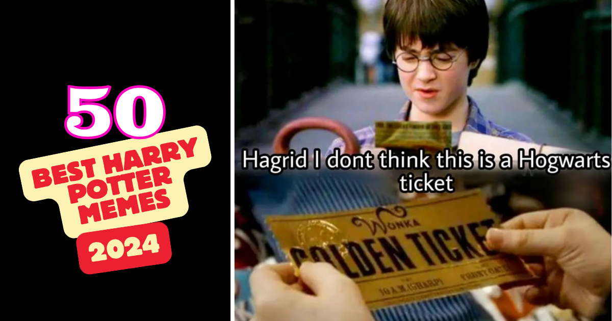 Accio Laughs: The 50 Most Hilarious Harry Potter Memes of 2024 - Geek ...