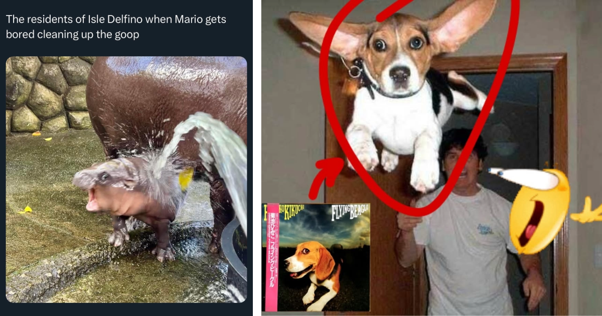 Dopey Doggy Goddess: 20 Snort-Stuffed Canine Funnies for Flu-Ridden ...