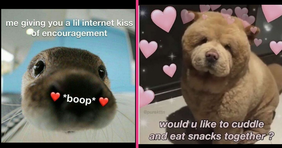 20 Supportive Memes for Worrying Women Who Are Holding It Together ...