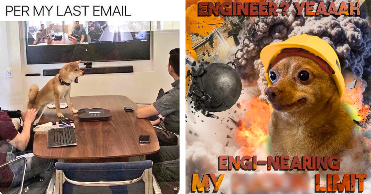 Funny Animal Work Memes