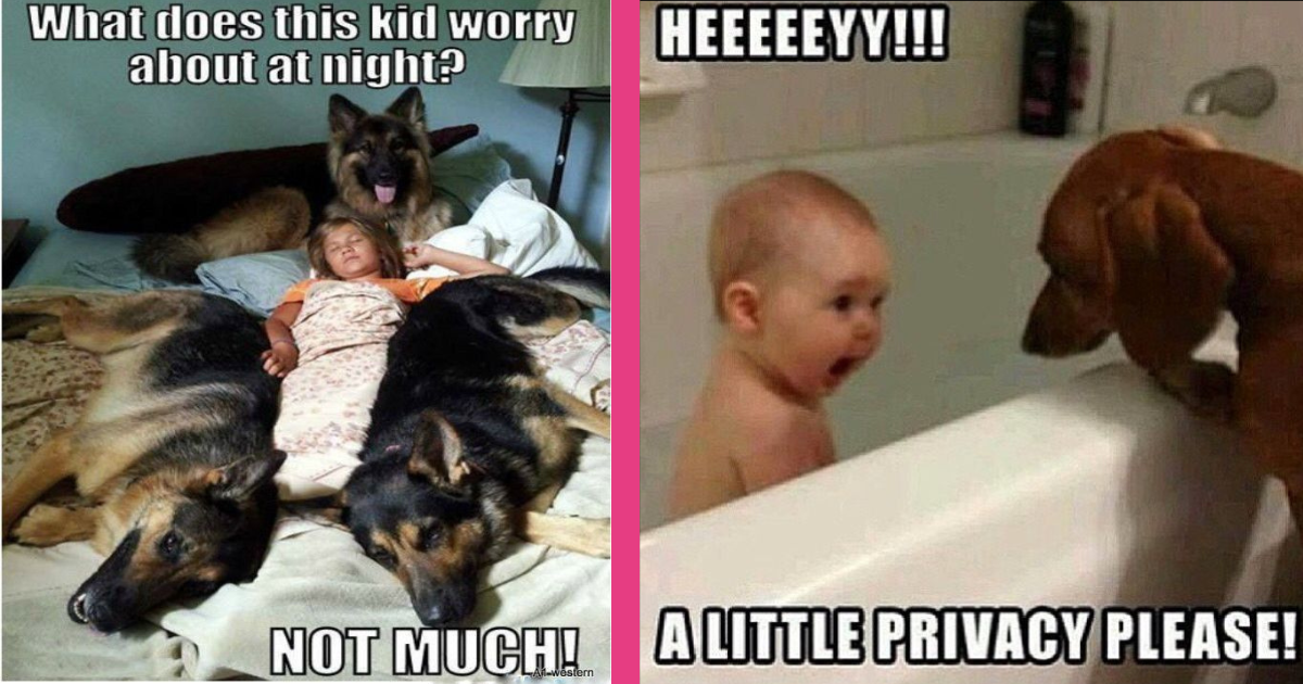 24 Animal Memes for Moms Whose Kids Have Paws-itively Adorable Bonds ...