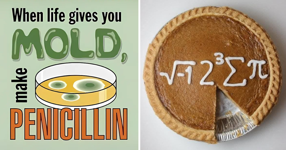 Lab, Laugh, Love: 31 Scientifically Approved Memes for Your Reaction ...