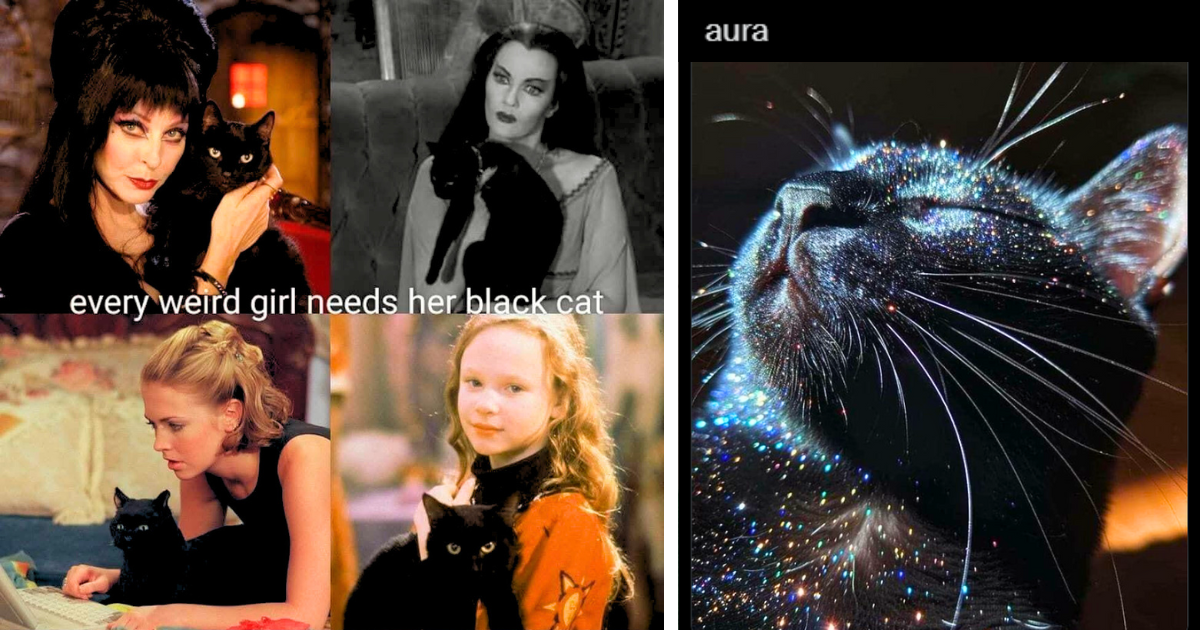 23 Blissful Black Cat Memes Giving Good Luck For the Furbulous Feline ...