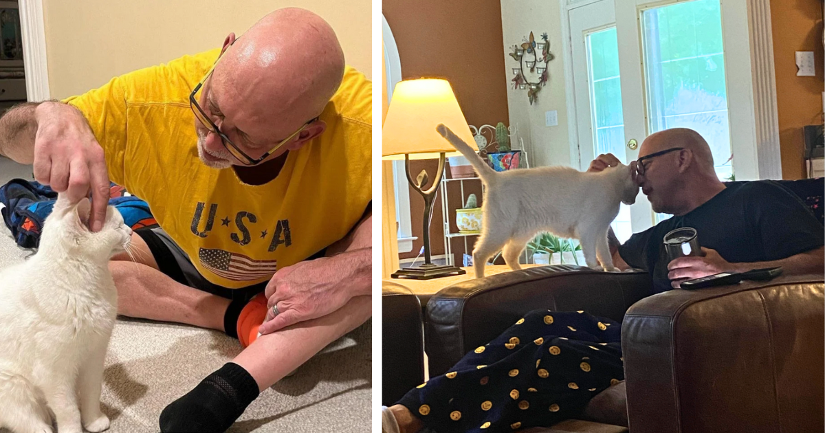 'Dad got his heart stolen by a cat': Sentimental kid documents their ...