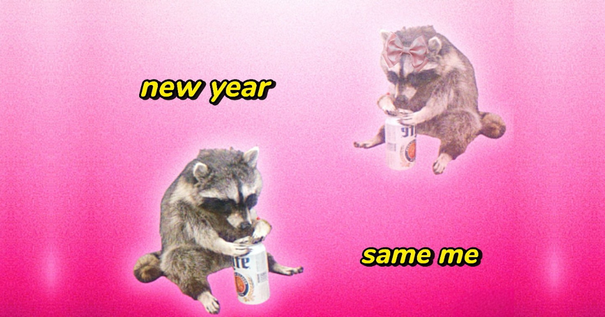 24 Relatable Raccoon Memes Helping You Process the Fact a New Year Has ...