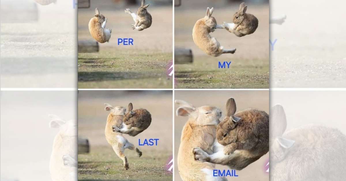 24 Memes from the Adorable Animal Kingdom to Enter the Zoo of Laughs ...