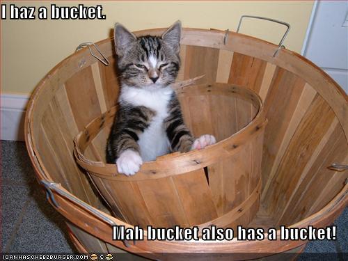 Funny Bucket Memes