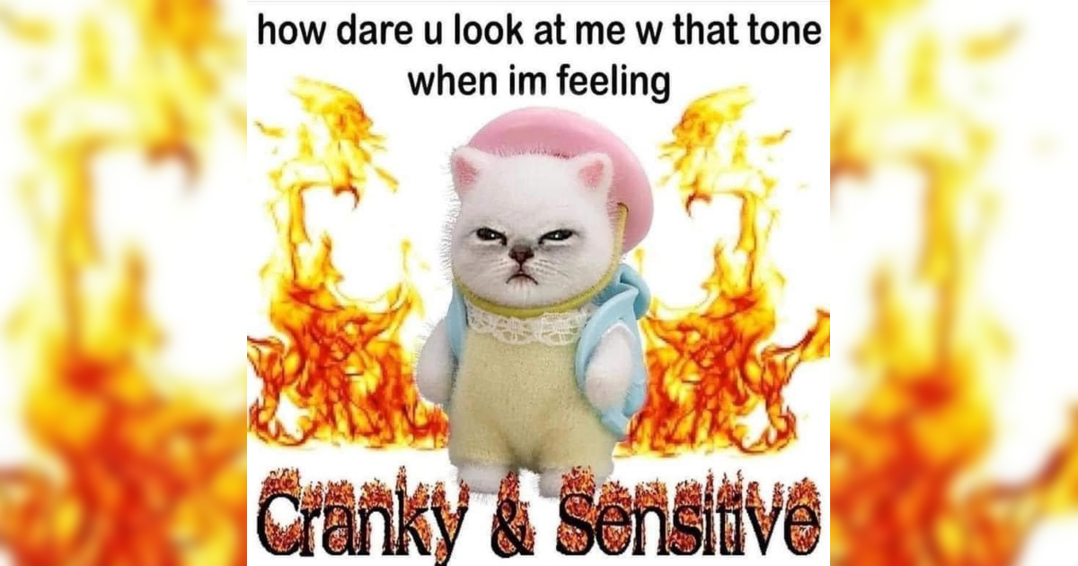 30 Memes and Posts to Raise Morale - Memebase - Funny Memes