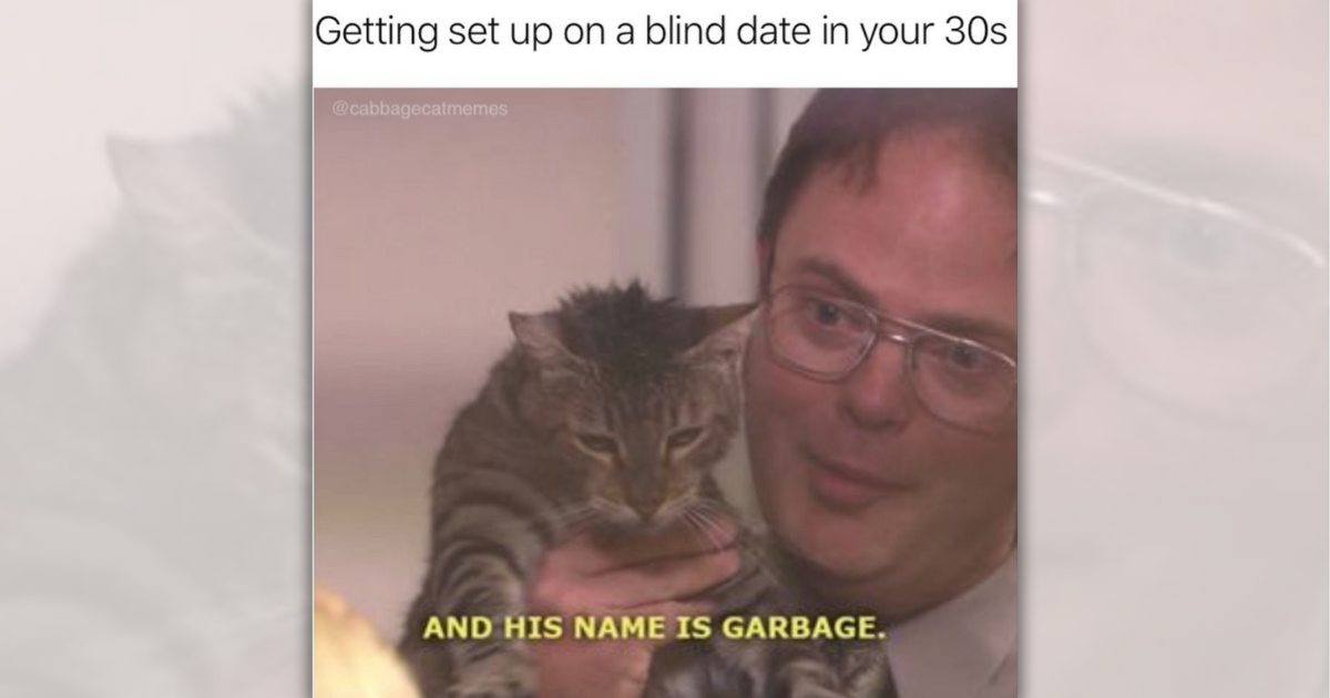 25 Cat Memes for the Jaded Singles Who Choose Purrfectly Handsome ...