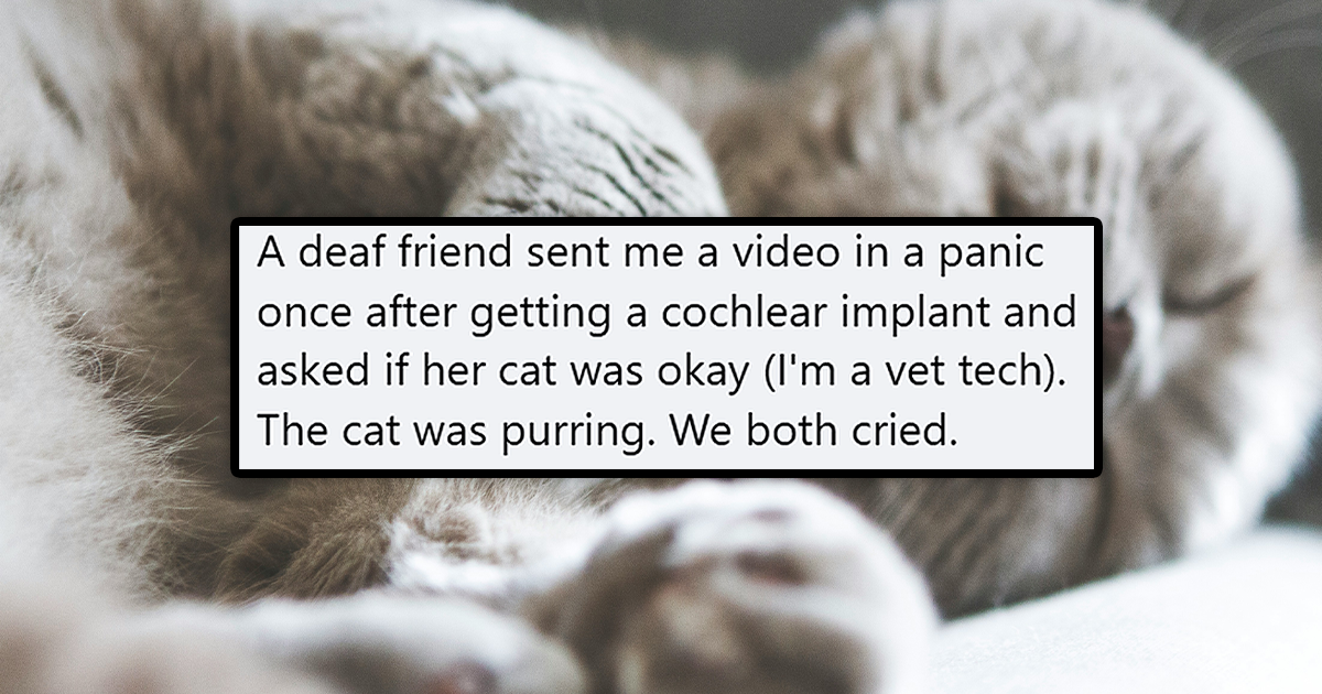 'Got hearing aids today and cried because my cat purred': Wholesome ...