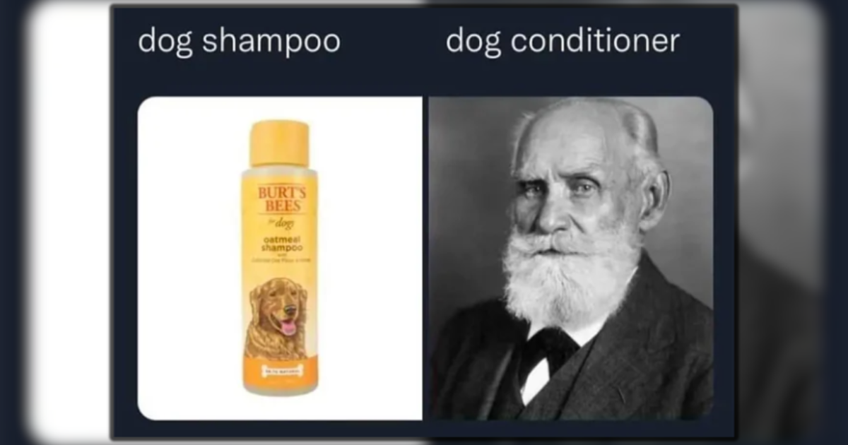 31 Science Memes That Are more clever Than Your Smartphone - Geek ...