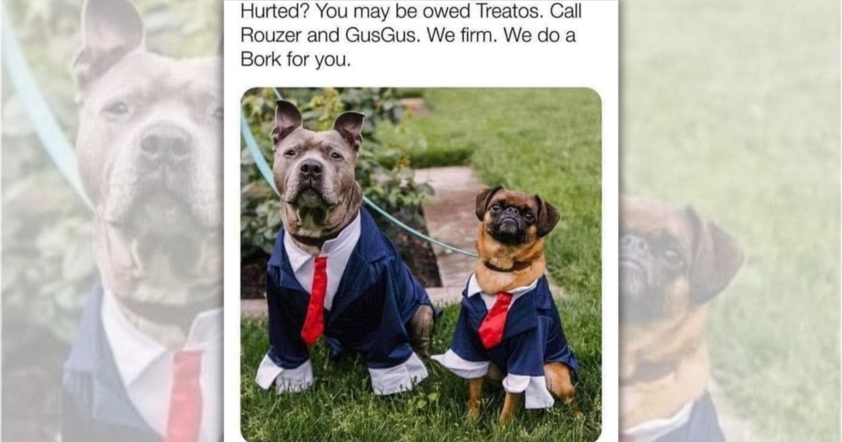 29 Wholesome Dog Memes Whose Wagging Tails Are Powered by Pure Love for ...