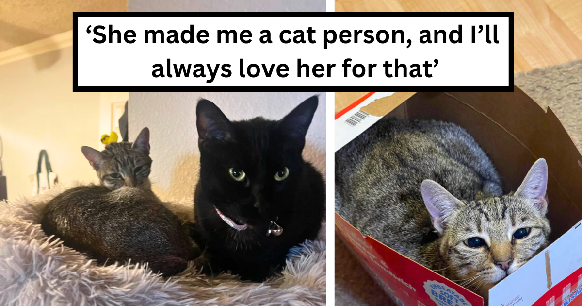 Boyfriend makes bittersweet promise to sick partner to cherish and ...