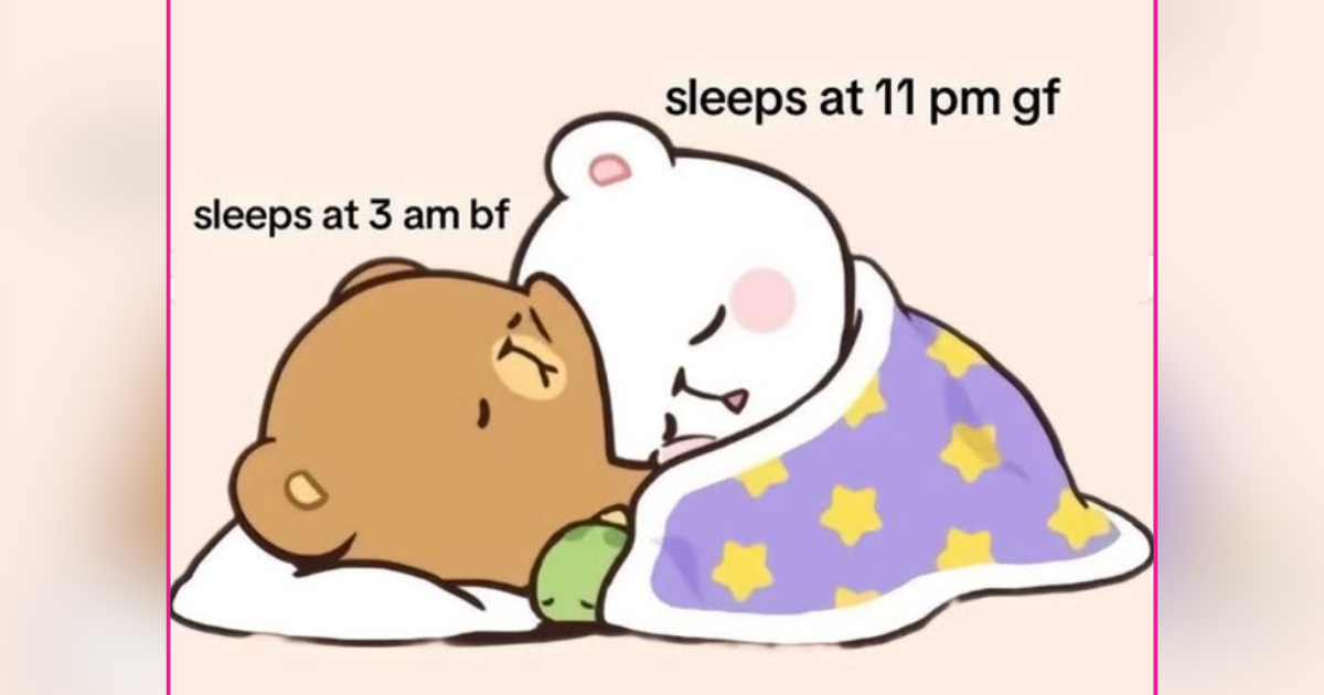 22 Dichotomous Couples Memes for When Opposites Attract - CheezCake ...