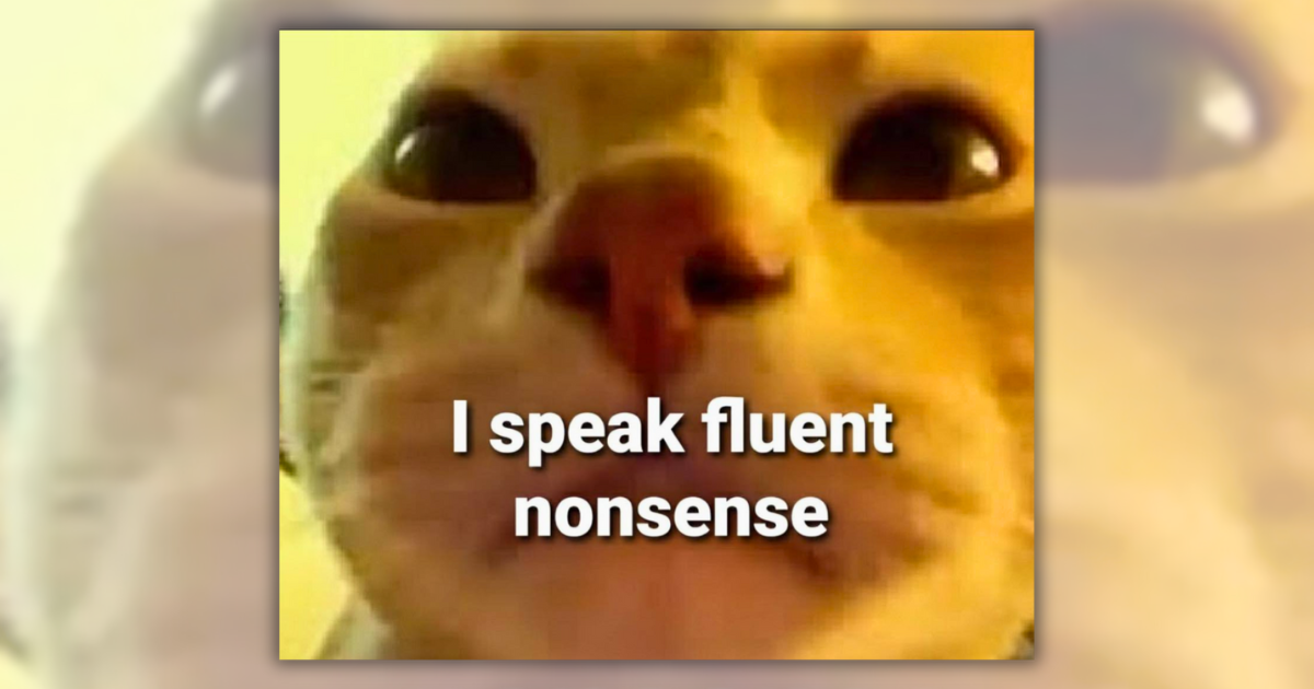 Caturday Madness of 28 Cat Memes Putting Their Nonsense on Full Feline ...