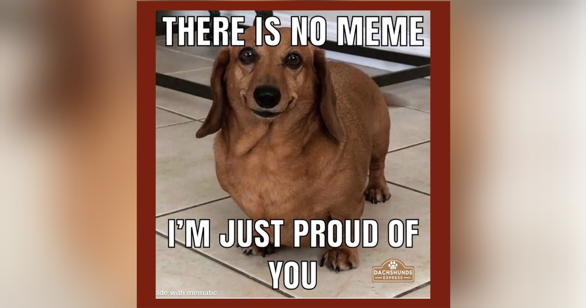 21 Pawsitive Reasons to Dilly-Dally the Day Away with Doting Dachshund ...