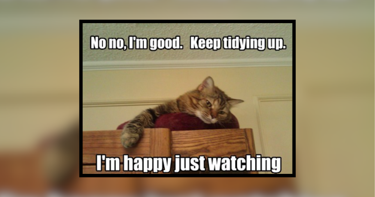 25 Memes of Cats Caught Cutting Chores and Carelessly Cozying Up - I ...