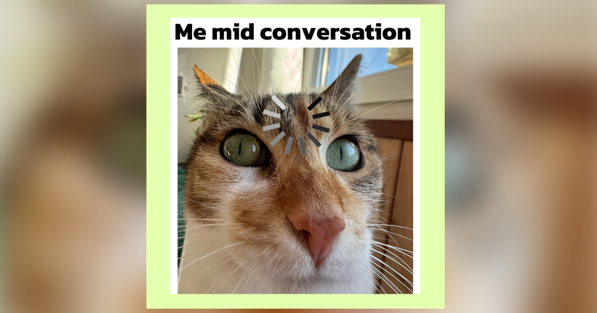 24 Sassy Feline Funnies of Fluff-Brained Fur Babies for a Sweet Sunday ...