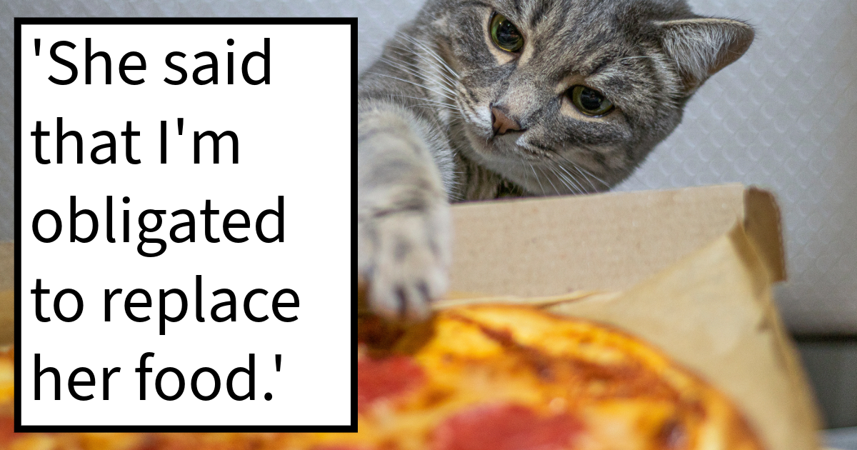 I Can Has Cheezburger? - weekly - Funny Animals Online - Cheezburger