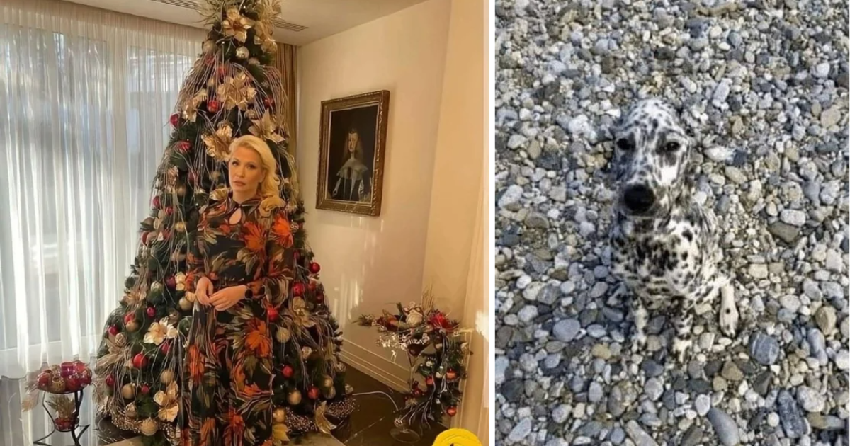 31 Hilarious Examples of Accidental Camouflage That Will Make You Do a ...