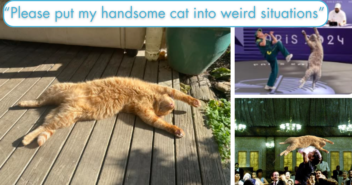 20+ Hisssterical Photoshop Pictures of Feline Pawrent's Cat You'd Want ...