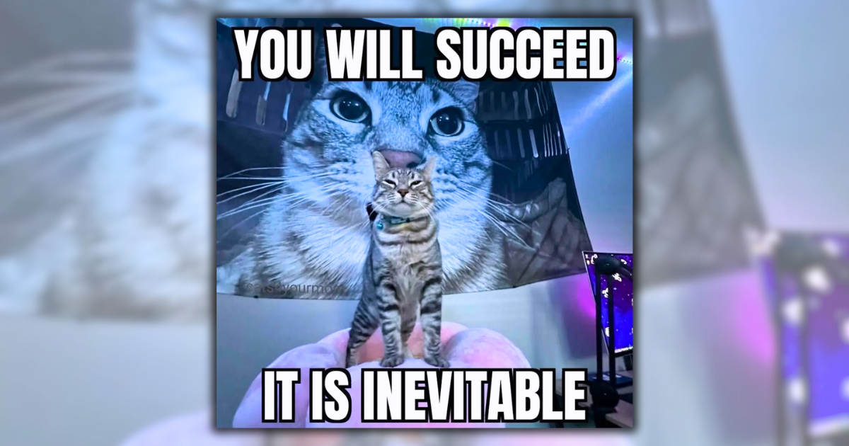 27 Optimistic Caturday Cat Memes Overpowering Anxiety With Wholesome ...