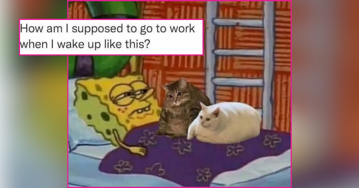 22 Lazy Girl Memes For Expert Procrastinators Who Found Your Email ...