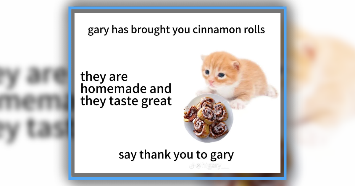 27 Hilarious Memes of Kooky Cats Coming to Shake Up Your Schedule - I ...