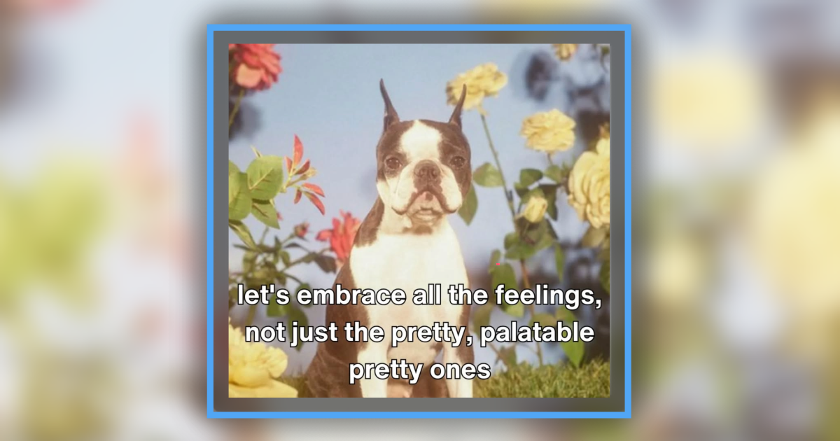 Animal Attitude Adjustment: 35 Inspiring Memes of Cute Critters Full of ...