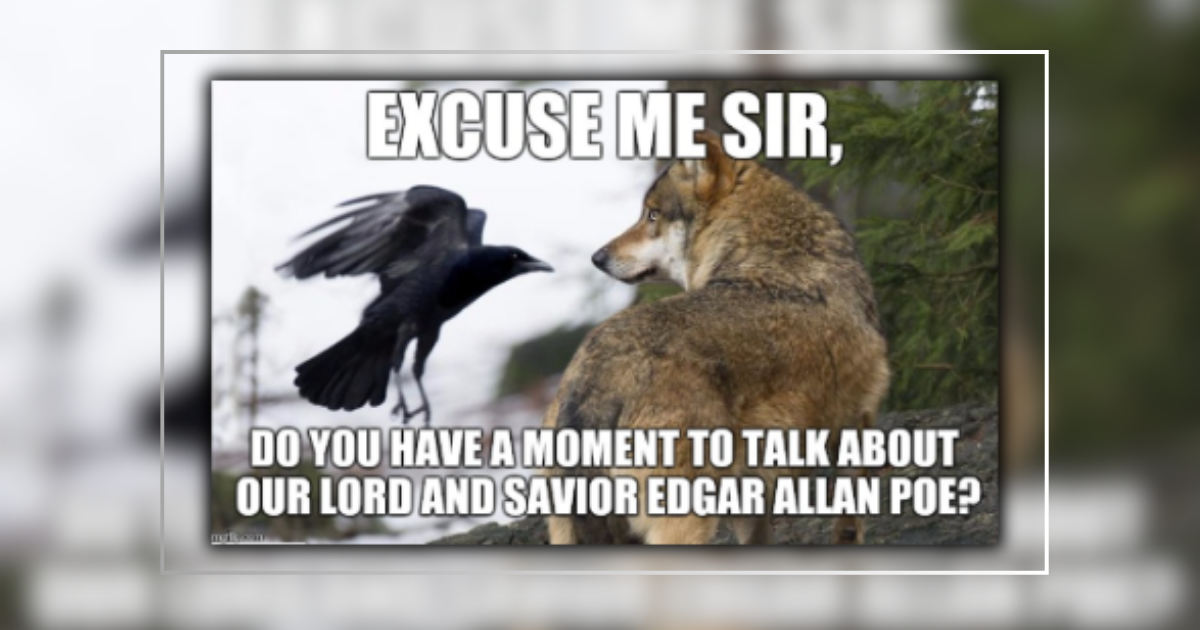 24 Crow and Raven Memes to Lighten the Atmosphere For Edgar Allan Poe’s ...