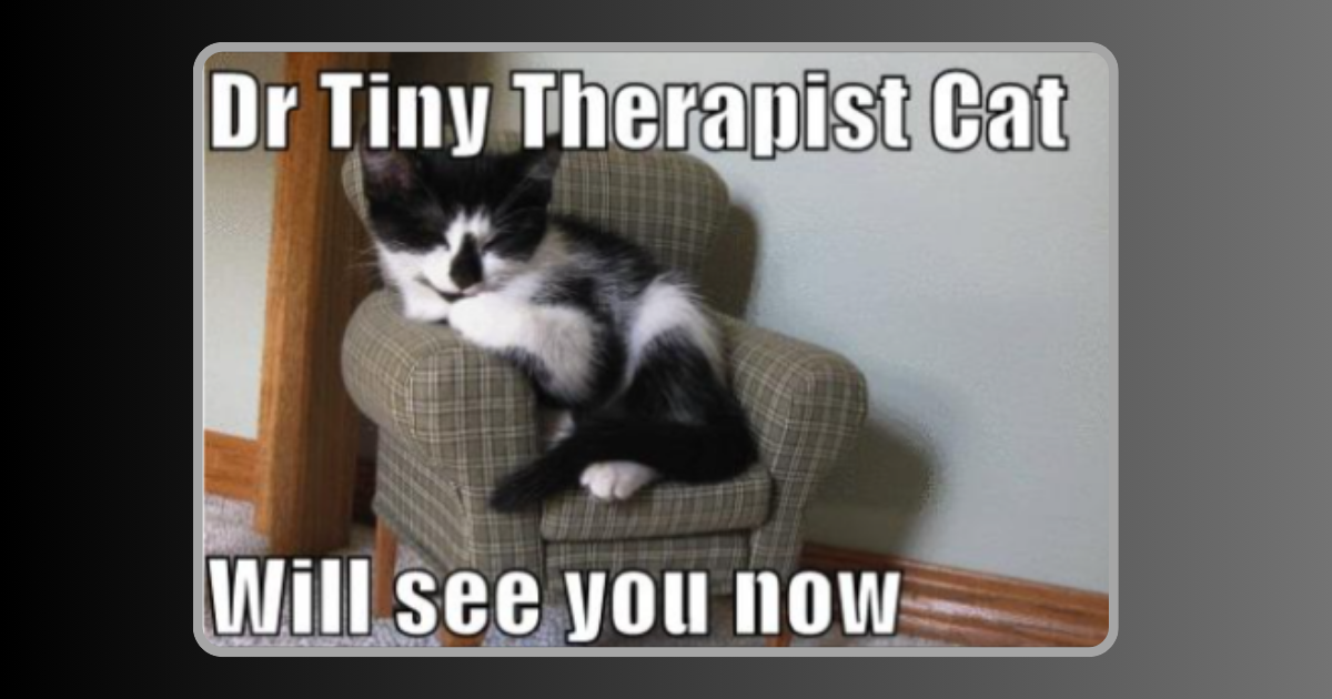 25 Comforting Cat-Therapy Memes Tackling the Tissues - I Can Has ...