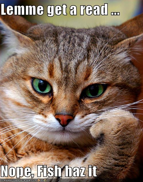 Lemme get a read ... Nope, Fish haz it - Cheezburger - Funny Memes ...