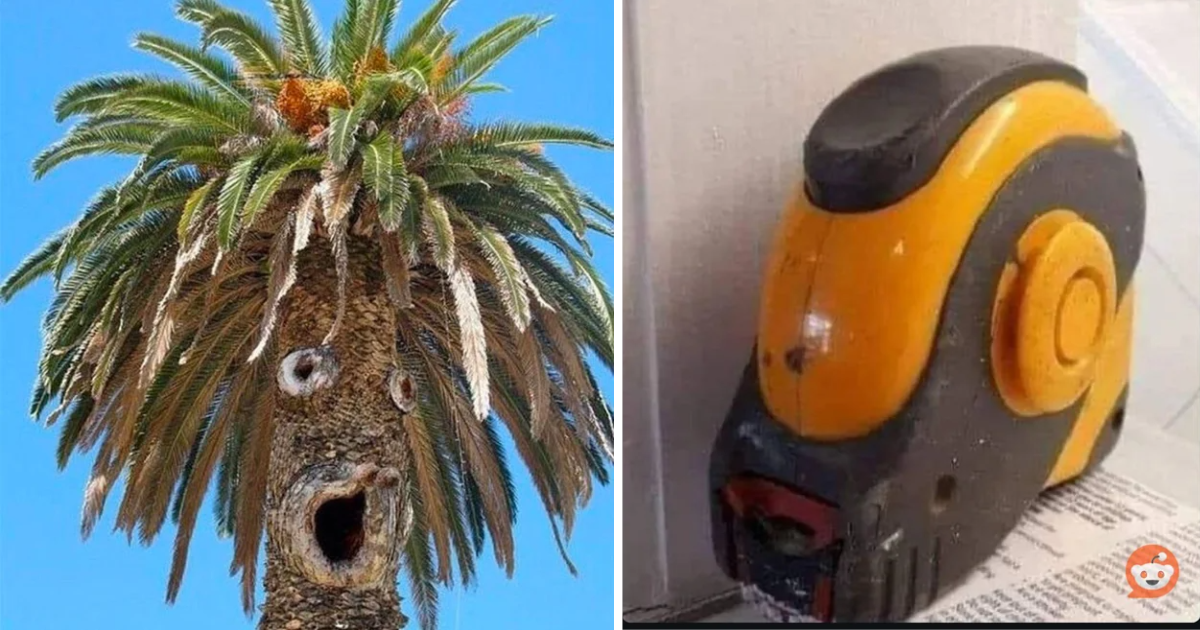 31 Times Pareidolia Turned Everyday Objects into Something Totally ...