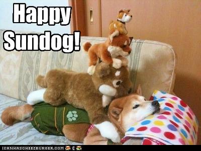 I Has A Hotdog - Dog Pictures - Funny pictures of dogs - Dog Memes ...