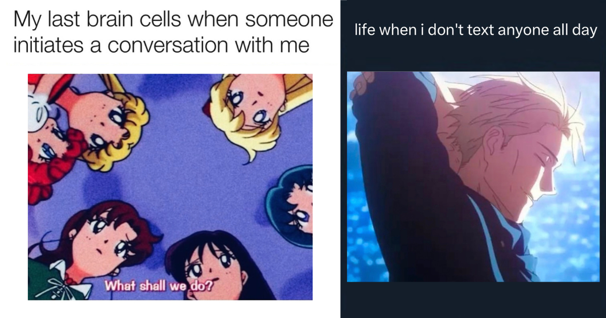 25 Introvert Memes for Anime Fans That Recharge Their Social Battery by ...