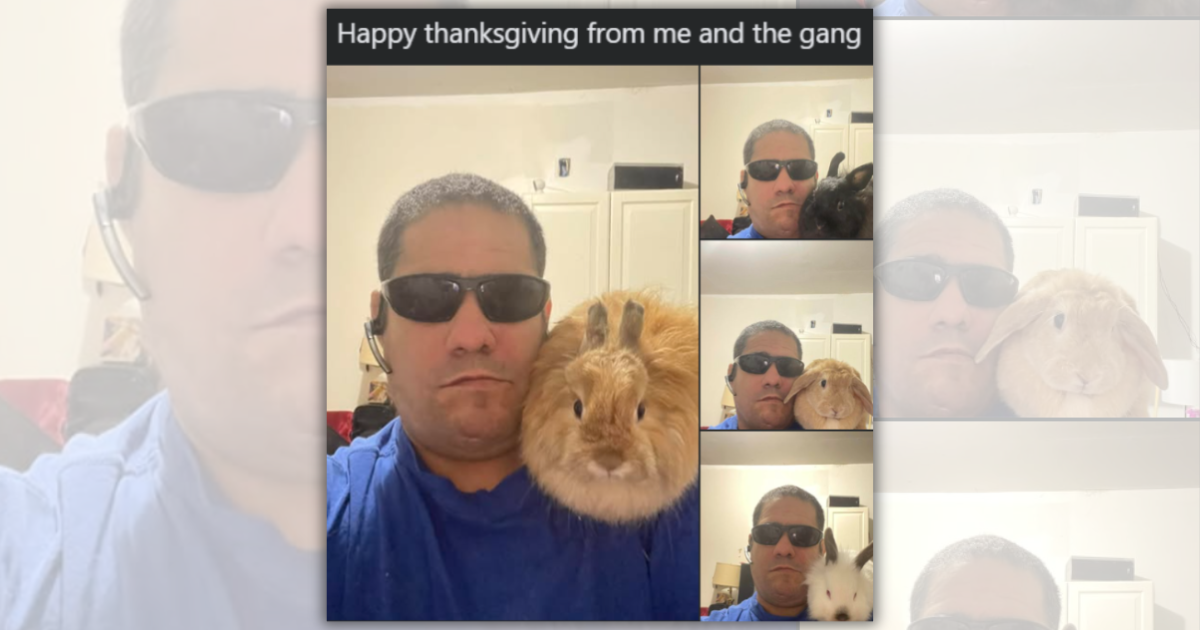 28 Funny Fluffy Memes For Everybunny That Loves a Good Laugh - Animal ...