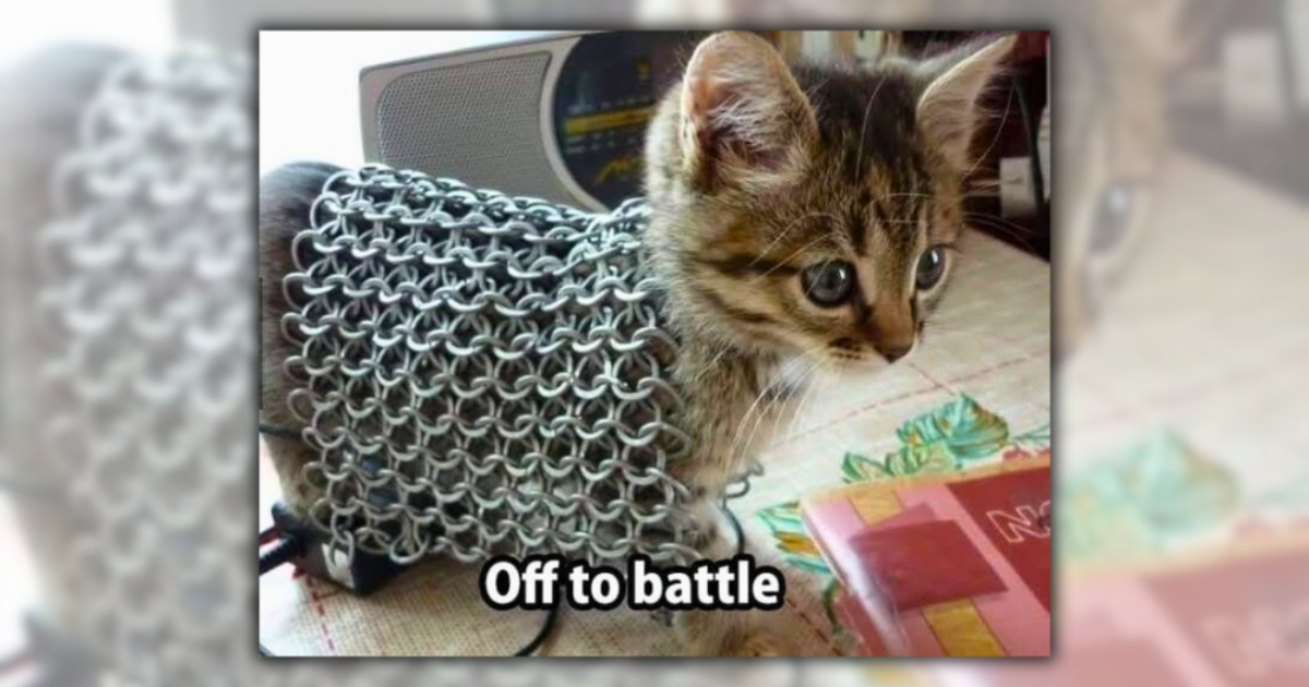21 Fantasy Feline Memes Catching Cat Comedy and Toss it Your Way Like a ...