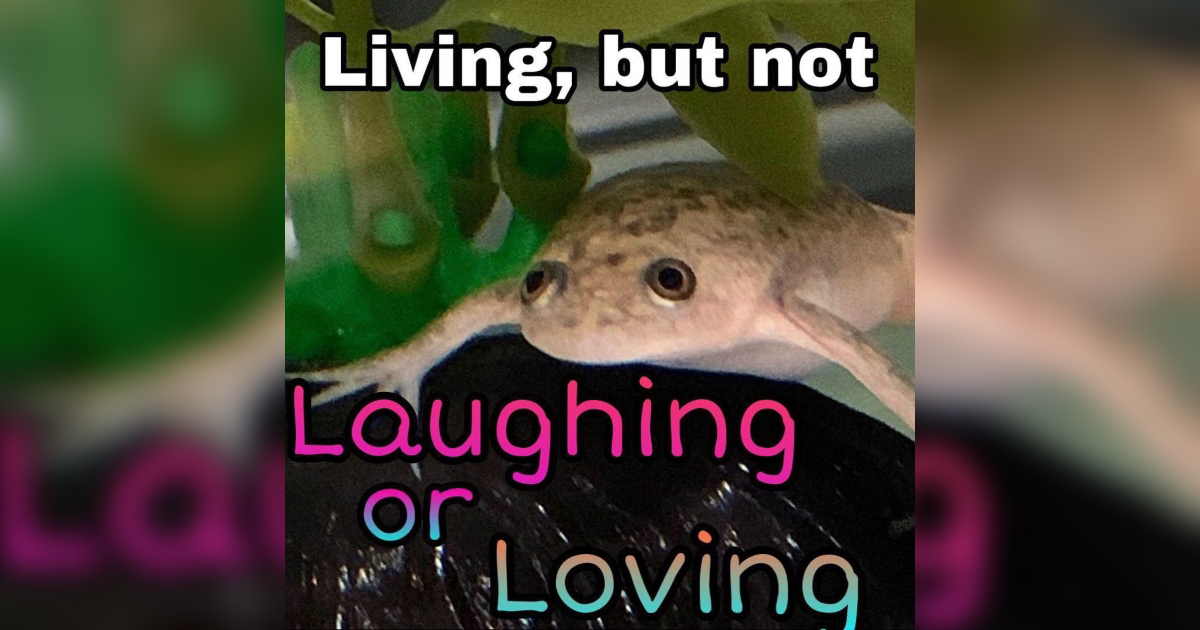 30 Memes That Spin a Yarn - Memebase - Funny Memes