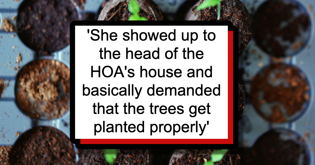 Mom of 2 gets turns entire neighborhood against HOA: '[She] had more ...